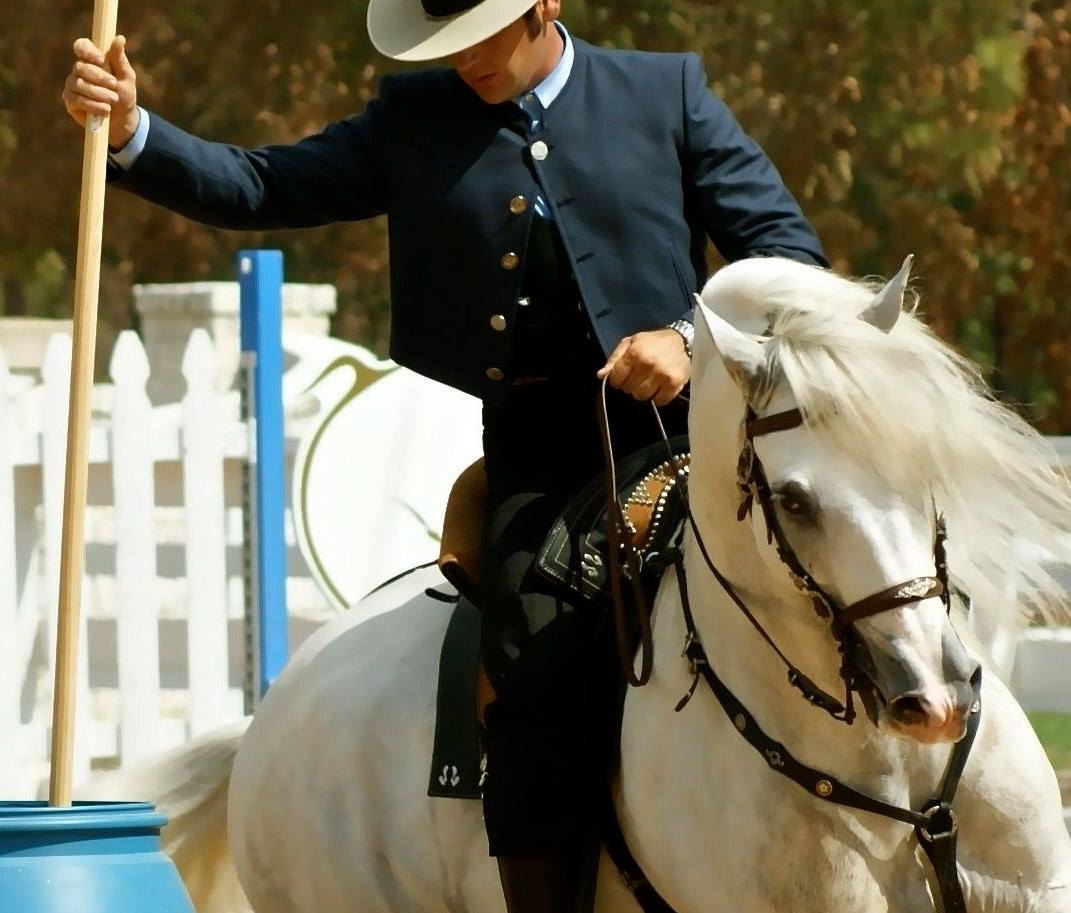Working Equitation Clinic with David Palacio & Debbie Hattan! – Georgia ...